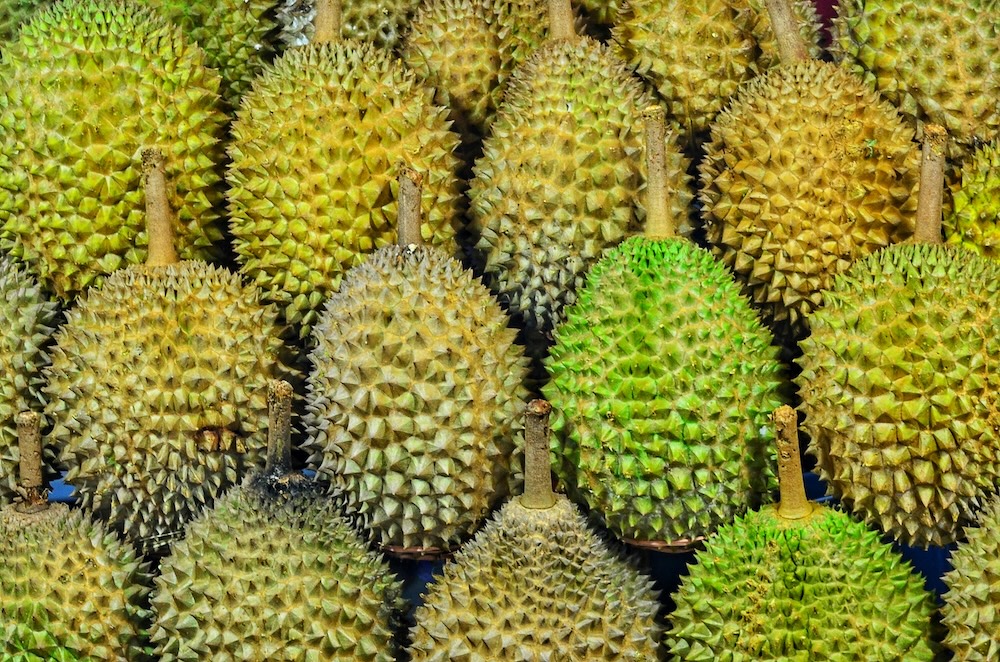 Durian Farming with Integrated Dashboard and Python Machine Learning Libraries - Simplico